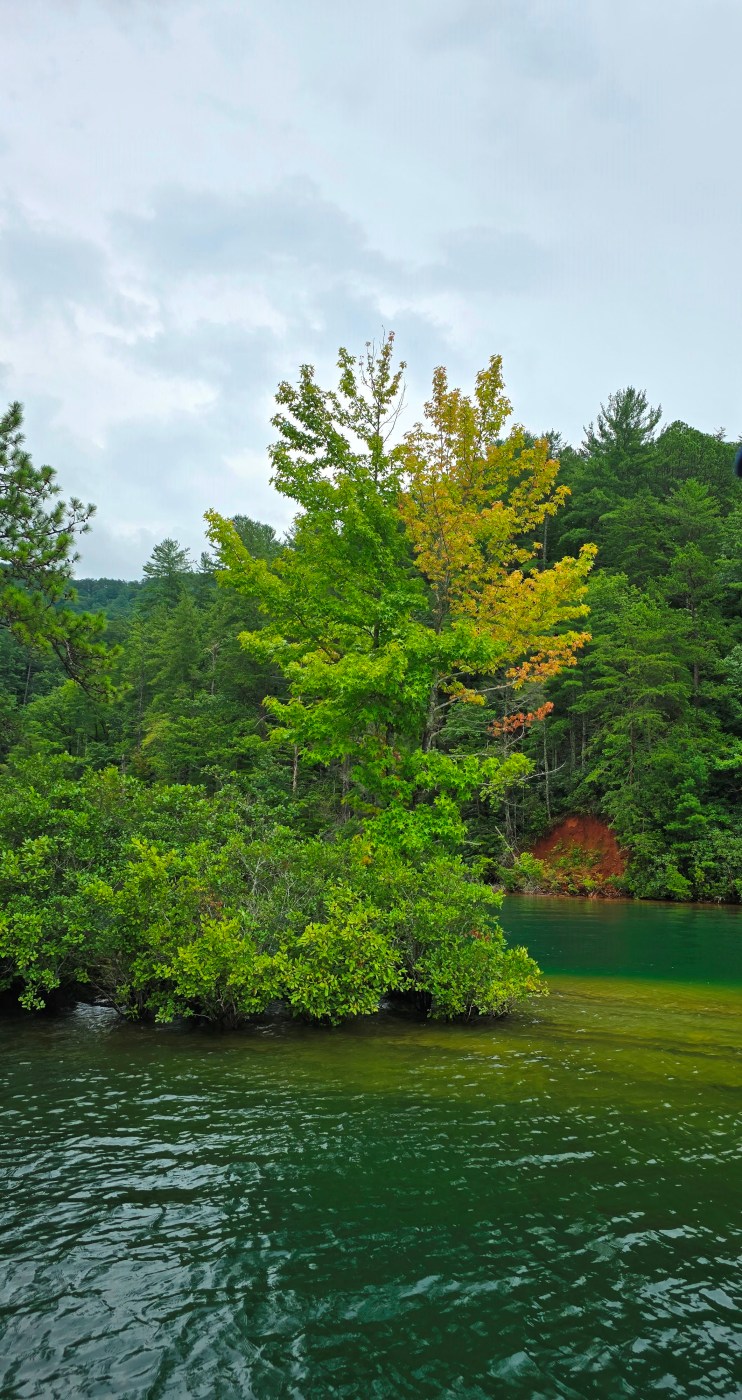 Kay Wade | Jocassee Lake Tours