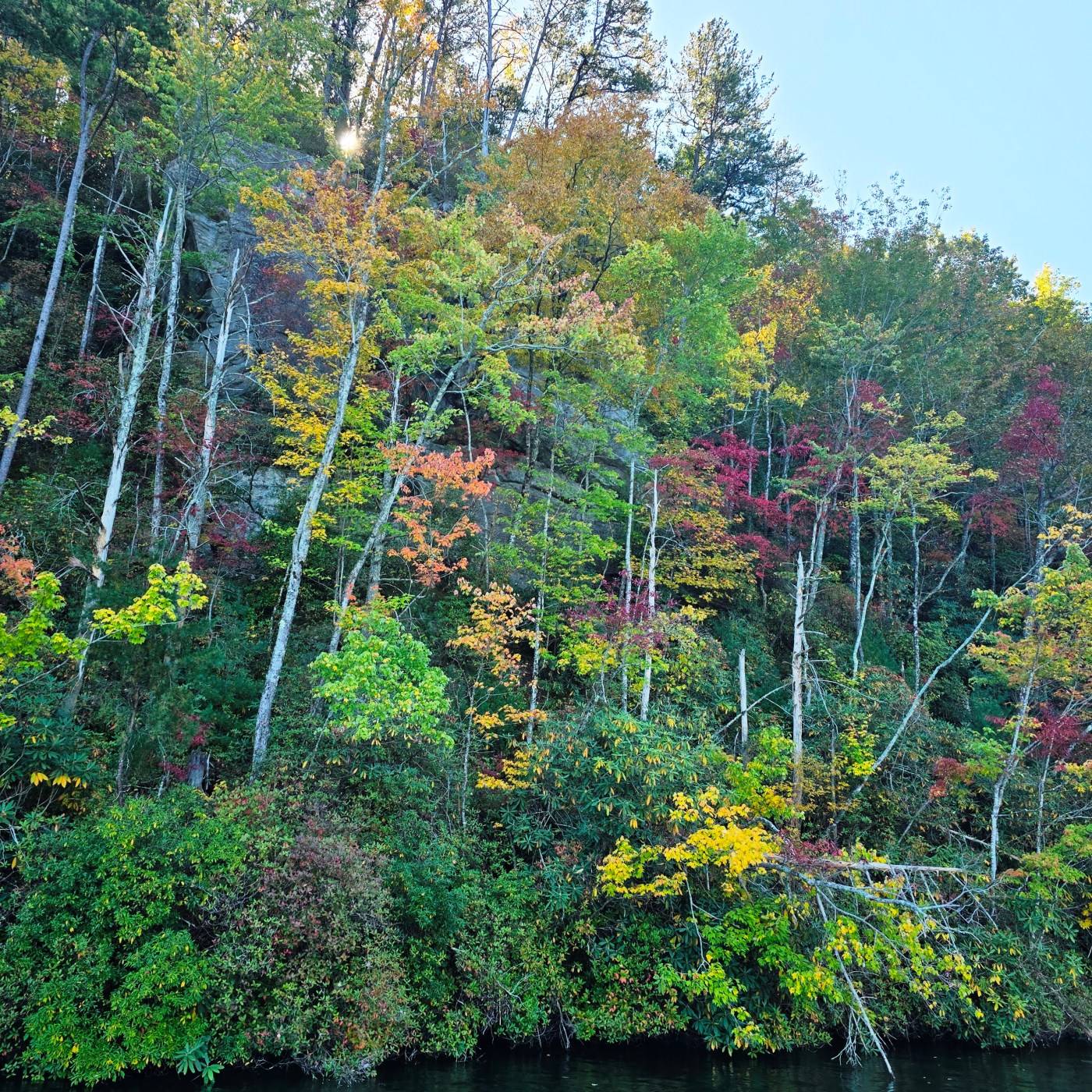 Kay Wade | Jocassee Lake Tours