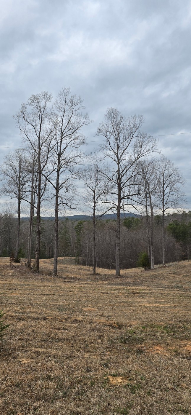Kay Wade | Jocassee Lake Tours