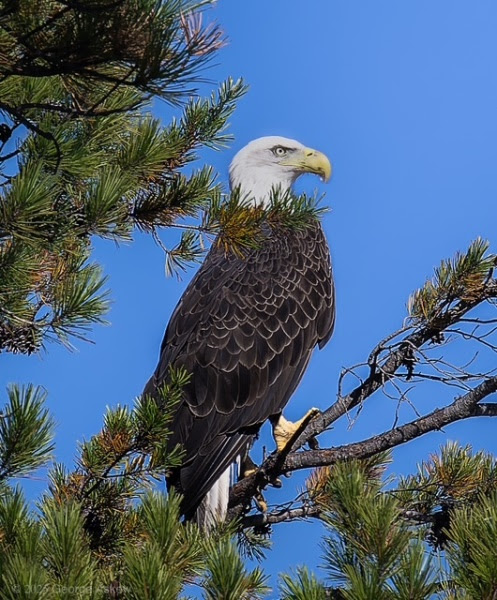 Brooks Wade | Jocassee Lake Tours