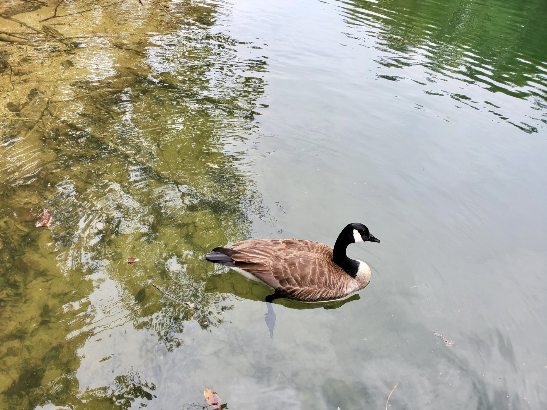 Kay Wade | Jocassee Lake Tours